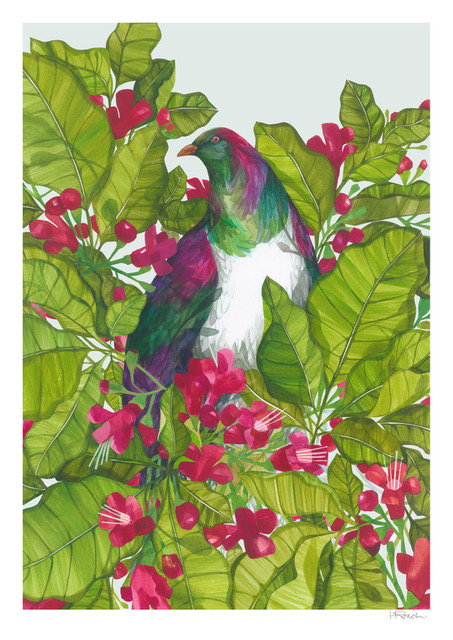 Puriri + Kereru Print for sale online by NZ artist Holly Roach