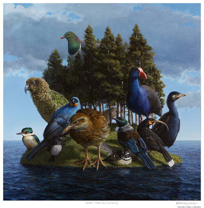 NZ Native Birds on an Island - Print by Barry Ross Smith for Sale