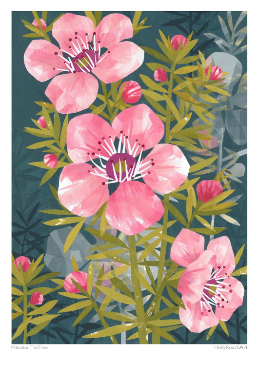 Manuka Flowers - Art Print for sale online by NZ artist Holly Roach