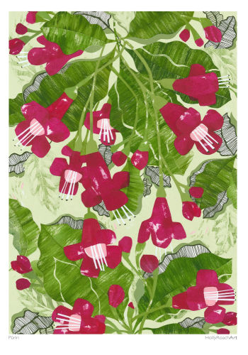 Puriri - Botanical art prints by NZ artist Holly Roach