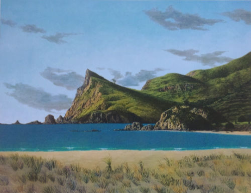 Great Barrier Island - Art Print for sale by Justin Summerton at NZ ...