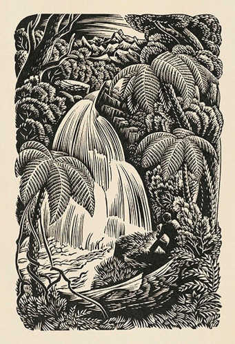 Buy E. Mervyn Taylor Waterfall Prints direct from NZ Fine Prints ...