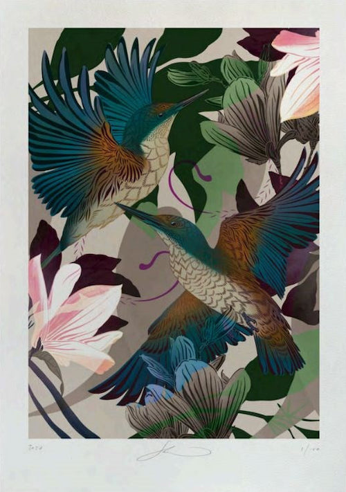 Flox Prints for Sale | Signed Limited Edition “Evolution Kingfishers”