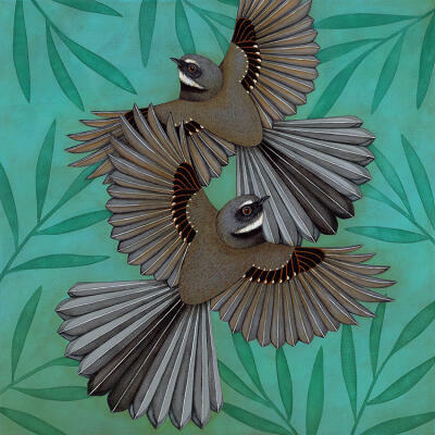 Print of Two Fantails - Freedom Fantails by Kathryn Furniss
