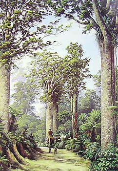 Ancient Kauri by Jeanette Blackburn: New Zealand Fine Prints