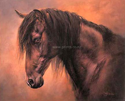 Archimedes by Julie Greig: New Zealand Fine Prints