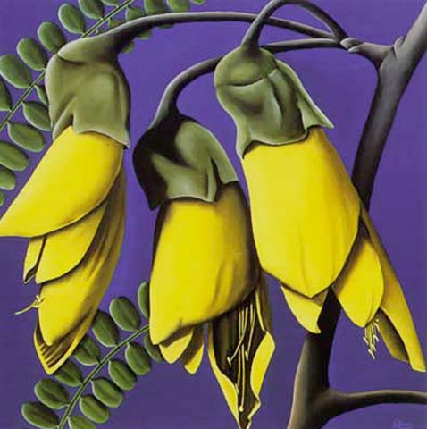 Prints Art & Collectibles Art Print New Zealand Kowhai Tree Flower ...