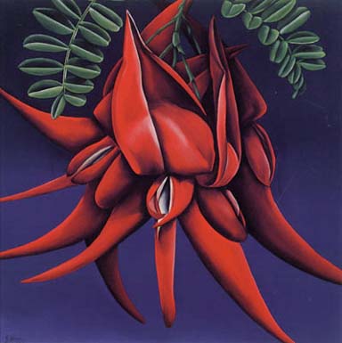 Kaka Beak Print by Diana Adams: New Zealand Fine Prints