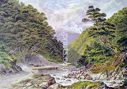 Otira Gorge, West Coast Rd by C.D. Barraud: New Zealand Fine Prints