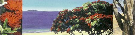 Pohutukawa Summer by Alison Gilmour: New Zealand Fine Prints
