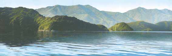 Marlborough Sounds 39 by Rick Edmonds: New Zealand Fine Prints