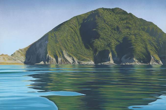 Wind Swirled Bush Reflections by Rick Edmonds: New Zealand Fine Prints