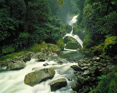 Milford Track Mackay Falls by Craig Potton: New Zealand Fine Prints