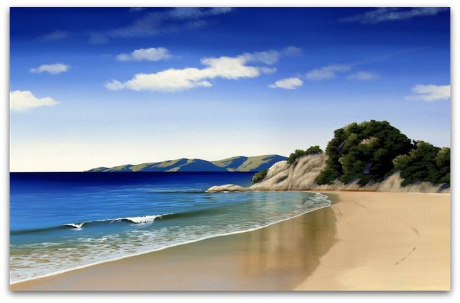 Ready to Hang Canvas Print of the Abel Tasman Coastline by Linelle Stacey