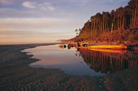Bruce Bay - South West New Zealand World Heritage Area by Rob Brown ...
