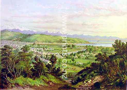 Nelson by C.D. Barraud: New Zealand Fine Prints