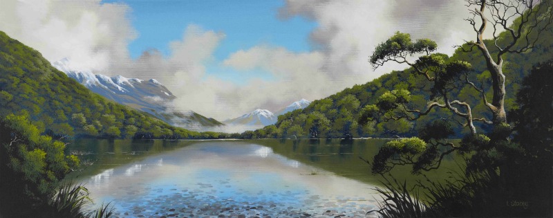 Routeburn Stones Canvas Print by Linelle Stacey: New Zealand Fine Prints