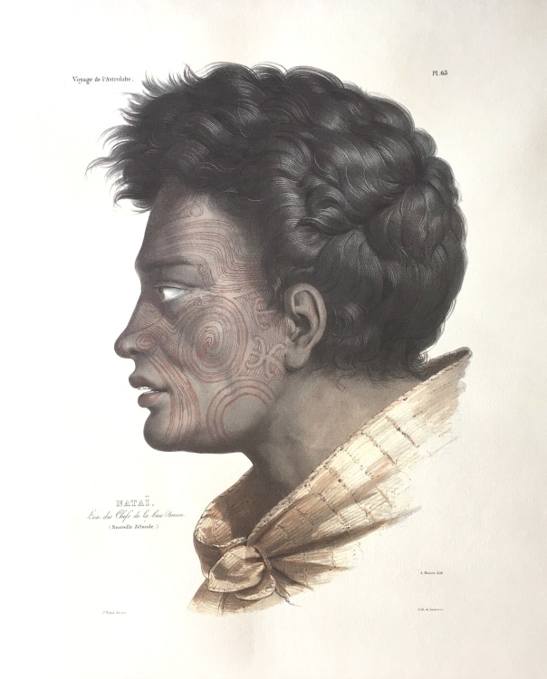 Maori Chief with Tattoo (Moko) - Print for sale of a 1833 French engraving