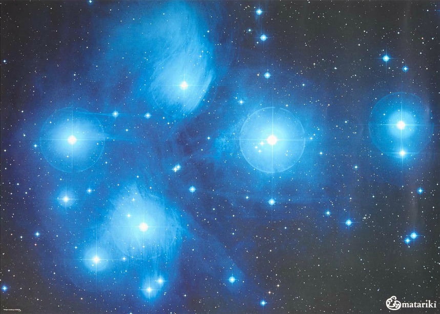 Matariki Wall Postesr - Buy online direct from NZ’s Art Print & Poster ...