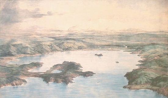 Birdseye View, Port Nicholson by Thomas Allom: New Zealand Fine Prints