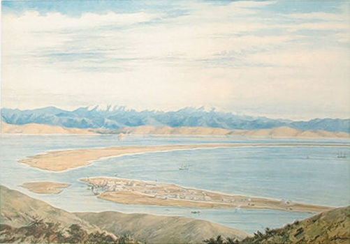 View From the Hill above Napier 1866 by C.D. Barraud: New Zealand Fine ...