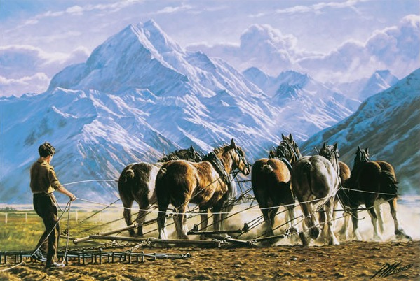 Clydesdales, Mt Cook by Peter Morath: New Zealand Fine Prints