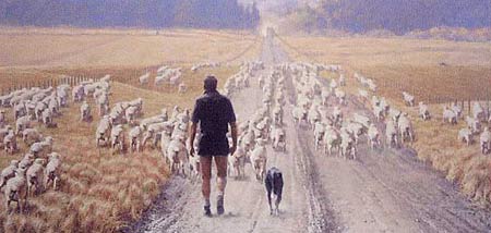 Road's End by Barry Ross Smith | NZ Country Life Wall Art for sale