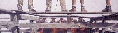 Judgement Day by Barry Ross Smith: New Zealand Fine Prints